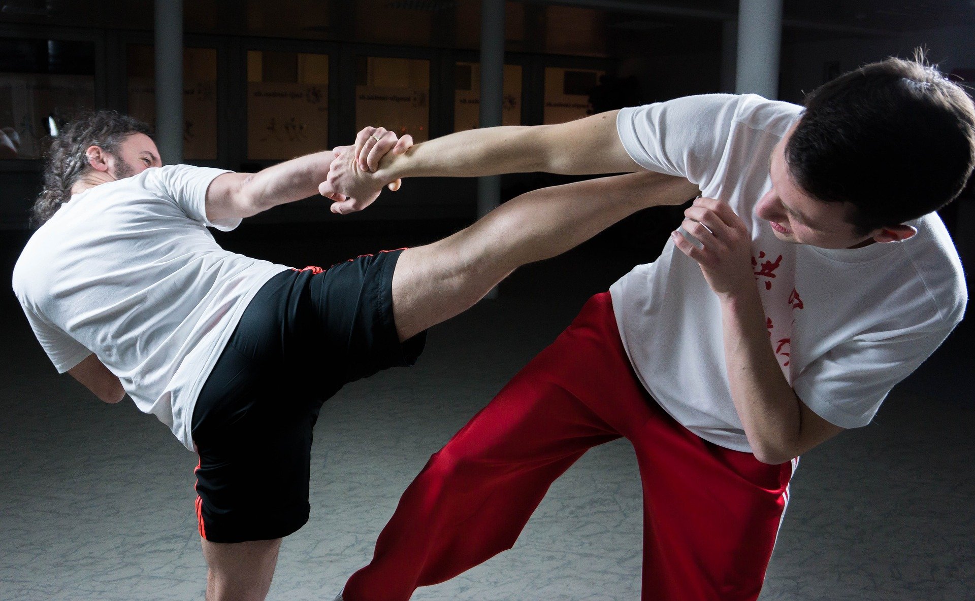 Tipos De Artes Marciais - REVOEDUCA Tipos De Artes Marciais - REVOEDUCA